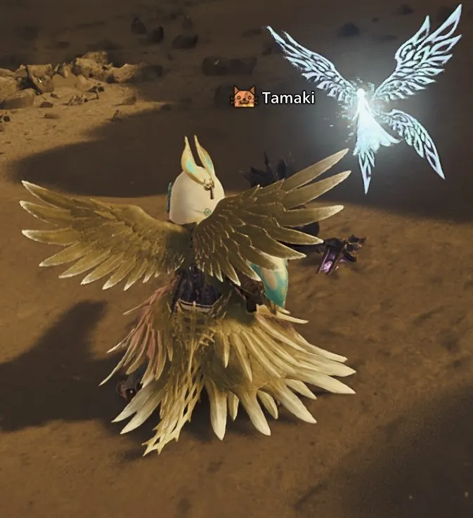warrior angel | MHBuilds